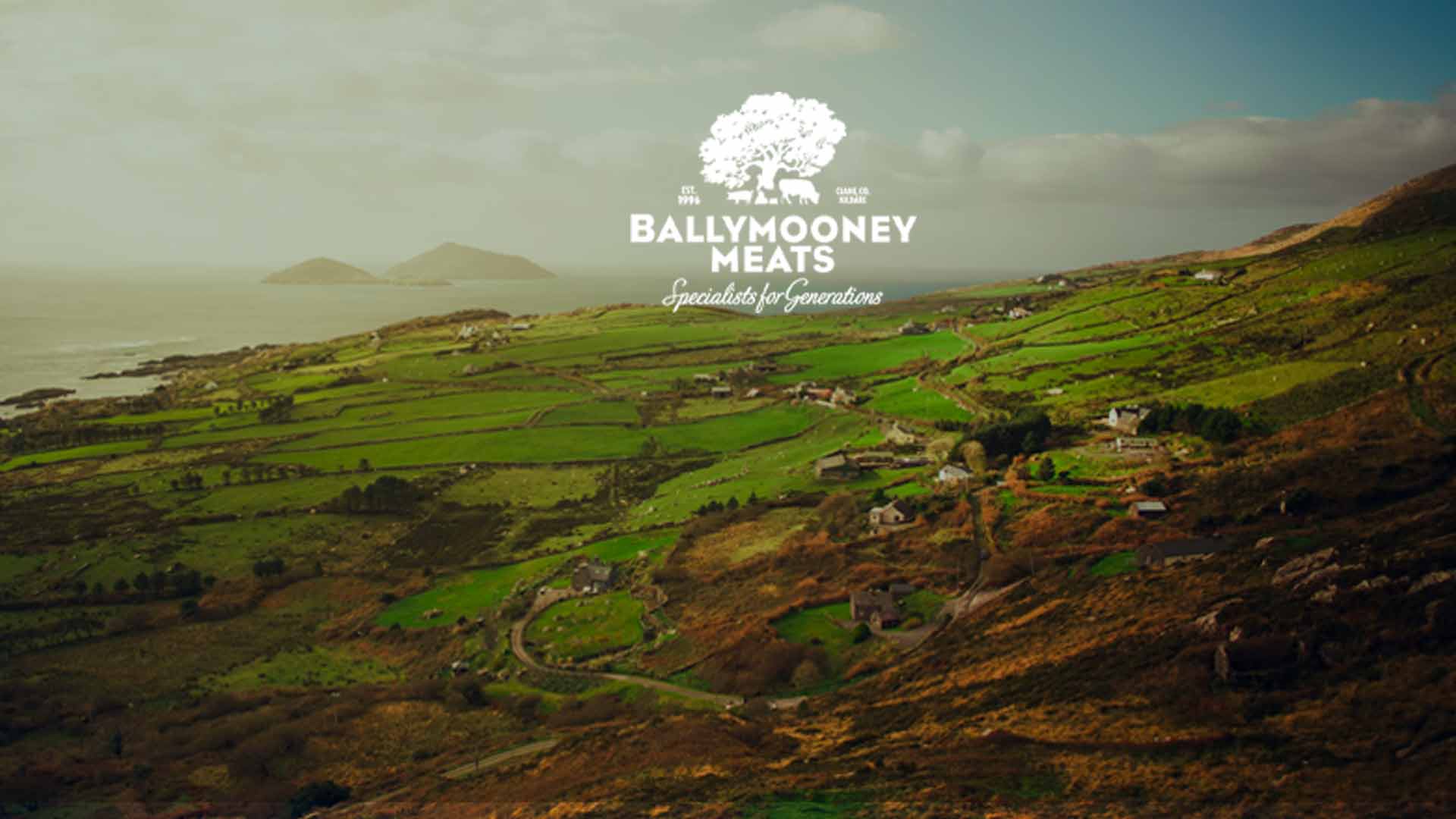 Ballymooney Foods Smart IT with SenSys | SenSys IT